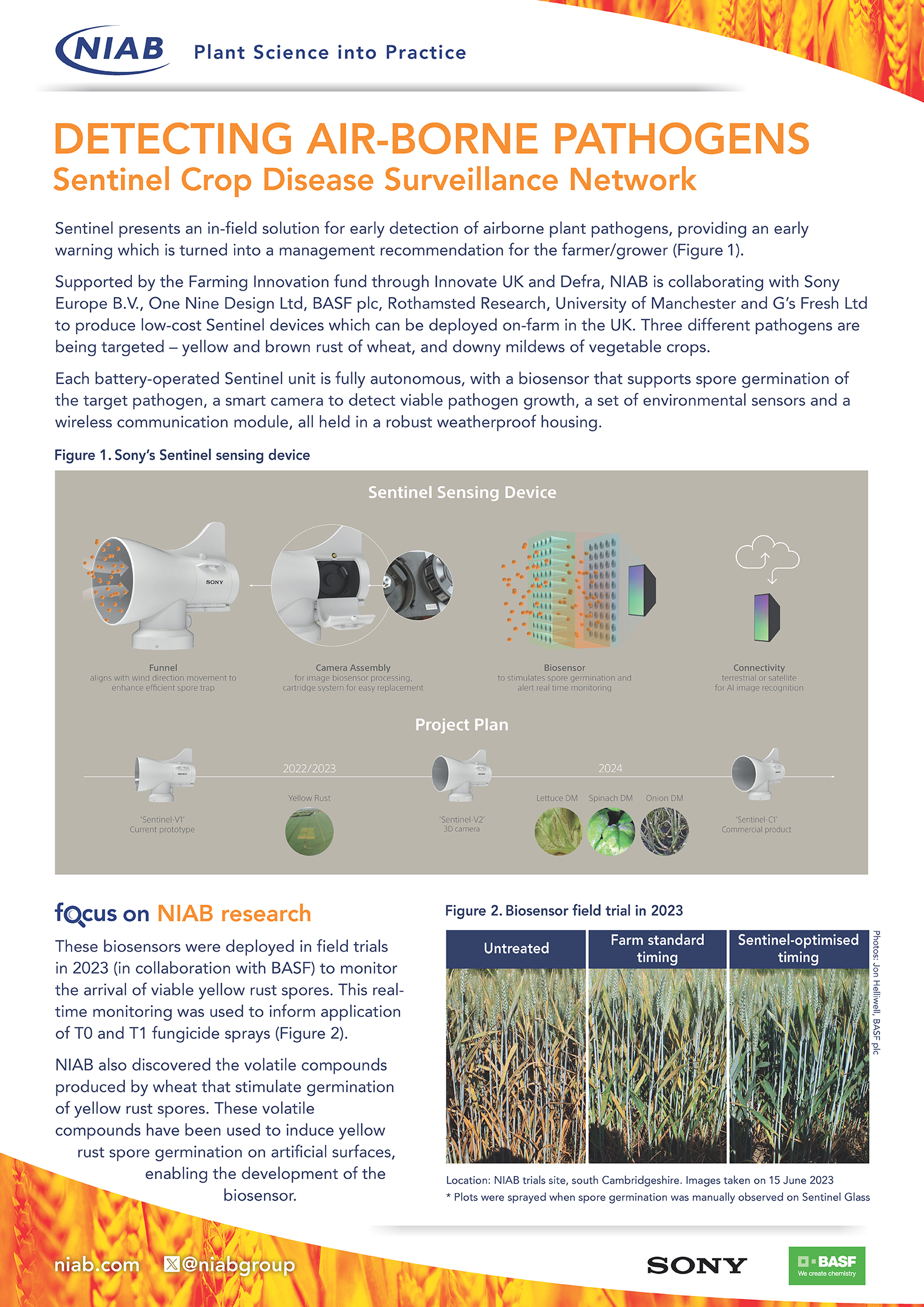 POSTER: Detecting air-borne pathogens (2024) | NIAB